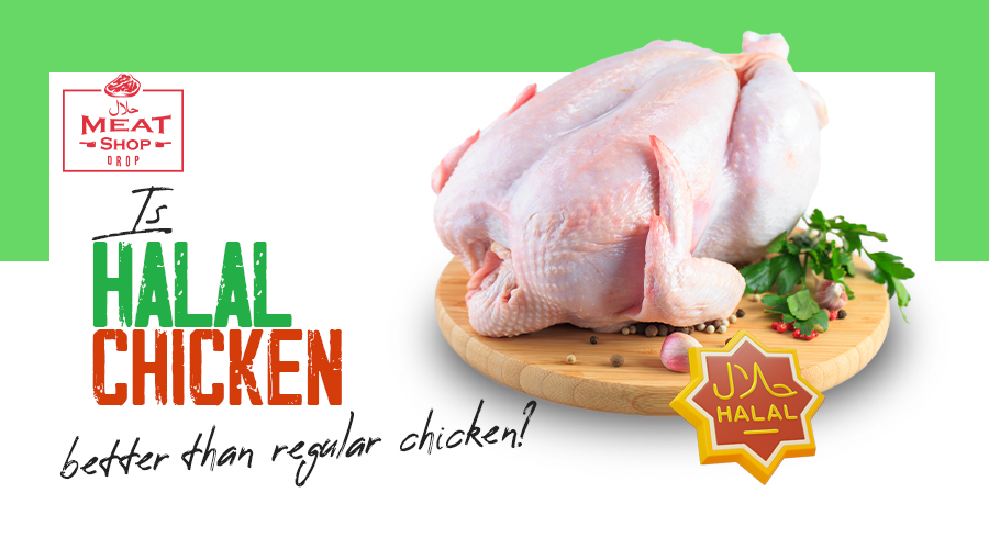 Halal Chicken Slaughter Halal Chicken Slaughter